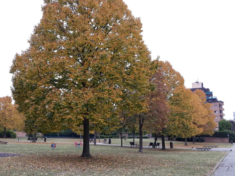 Parco della Meridiana | Comune di Casalecchio di Reno